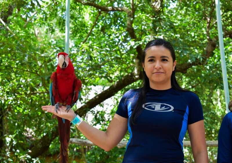 Akumal: Monkey Sanctuary, ATV, Cenote, & Yalku Snorkel Tour - Analyzing the Value