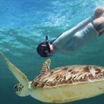 Akumal paradise tour Swimming with Turtles & ancient Tulum Ruins. Lunch included - What We Like About This Tour