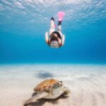 Akumal: Snorkeling Adventure with Turtles and Marine Life - The Itinerary in Detail