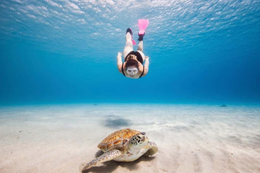 Akumal: Snorkeling Adventure with Turtles and Marine Life - The Itinerary in Detail