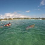 Akumal turtles sanctuary and go pro photos - The Value of This Tour
