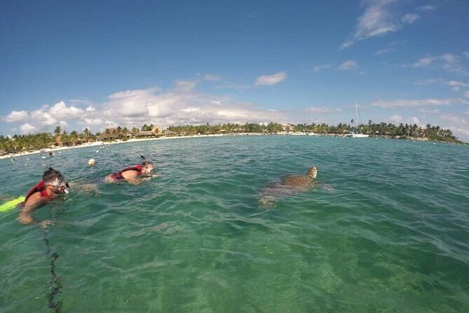 Akumal turtles sanctuary and go pro photos - The Value of This Tour