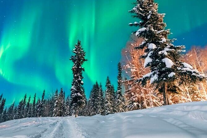 Alaska Aurora Season and Fairbanks Aurora Chasing Explore - Authentic Experiences and Real Reviews