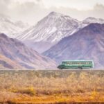 Alaska: Kenai Fjords & Denali National Park 5 Day Adventure - Day 2: Kenai Fjords National Park — Glaciers and Marine Wildlife
