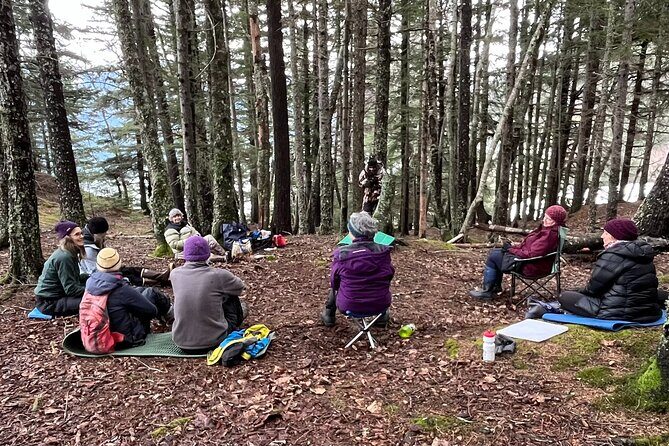 Alaska Nature Immersion: Forest Therapy Tour in Haines, Alaska - Practical Details and What to Expect