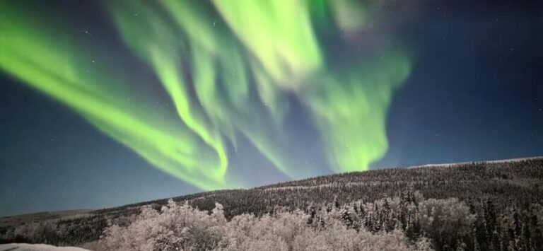 Alaska: Private Northern Lights Viewing Tour - Who Will Love This Tour?