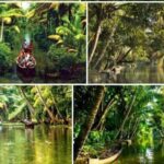 Alasr Lakeview Cruise /Hourly Trips to Backwater of Alleppey - The Guides and Photography