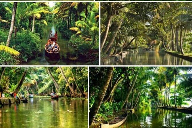 Alasr Lakeview Cruise /Hourly Trips to Backwater of Alleppey - The Guides and Photography