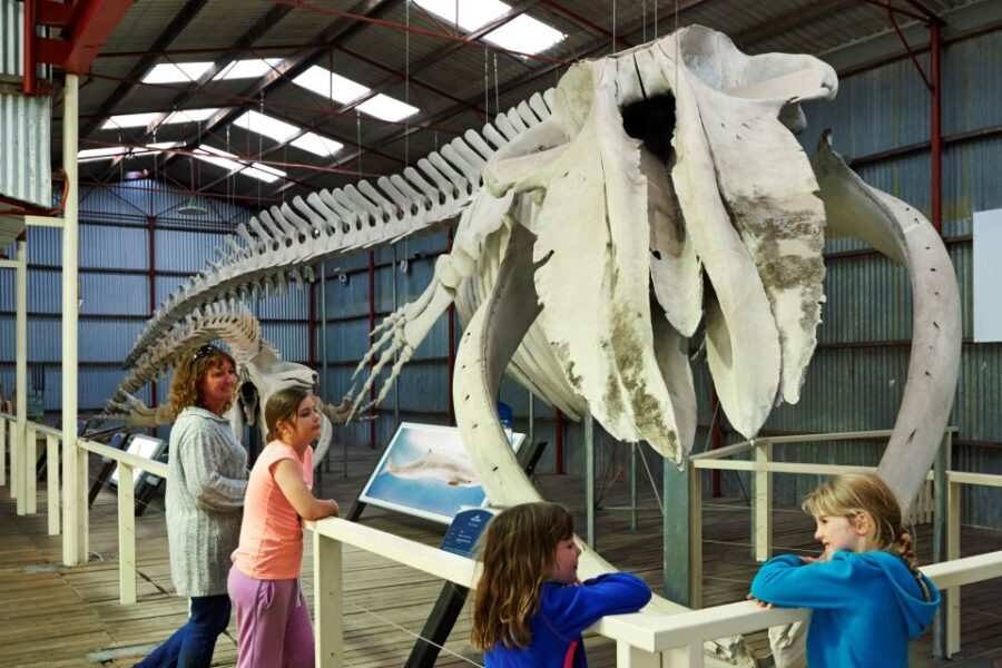 Albany: Historic Whaling Station Entry Ticket - FAQ