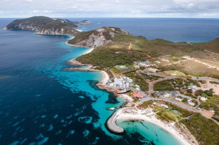 Albany's Whale Story - Authentic Experiences and Feedback from Travelers