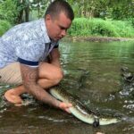 ALBERT TOURS: Excursion 4x4 safari with private SWING view point - Tastings & Cultural Flavors