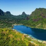 Albert Tours Excursion Safari - Moorea Safari tours&pick up - Final Thoughts