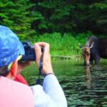 Algonquin Park 3-Day Deluxe Camping & Canoeing Adventure - Who Will Love This Tour?
