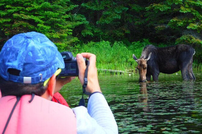 Algonquin Park 3-Day Deluxe Camping & Canoeing Adventure - Who Will Love This Tour?