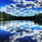 Algonquin Provincial Park Day Tour from Toronto - Who Is This Tour Best Suited For?