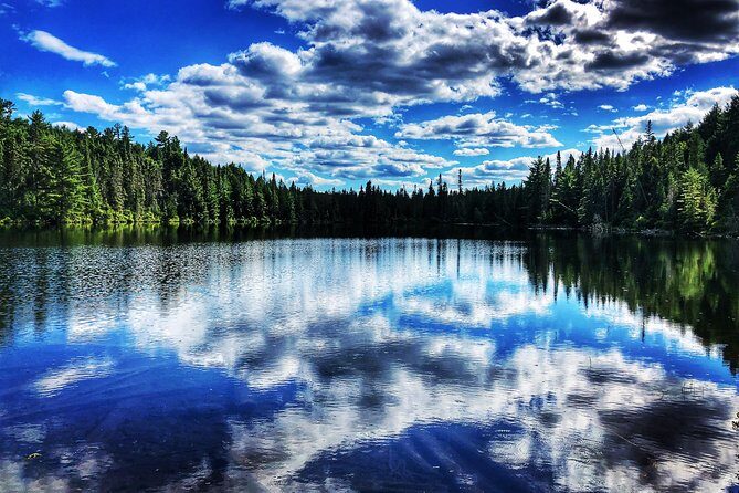 Algonquin Provincial Park Day Tour from Toronto - Who Is This Tour Best Suited For?