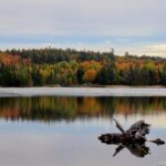 Algonquin Provincial Park Full Day Trip - Authentic Perspectives from Travelers