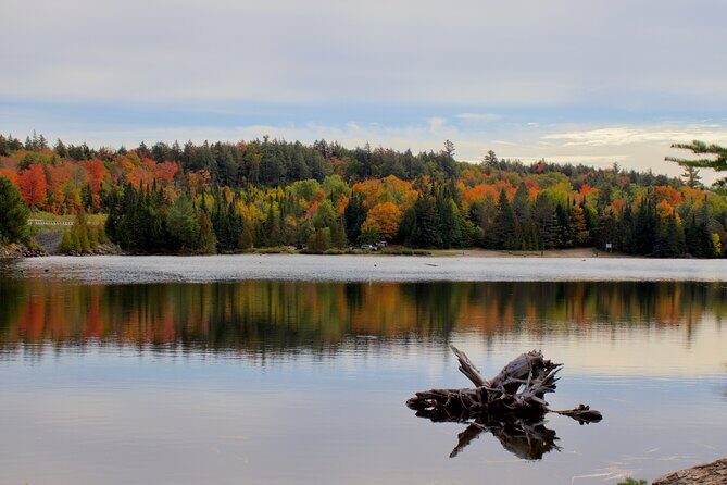 Algonquin Provincial Park Full Day Trip - Authentic Perspectives from Travelers