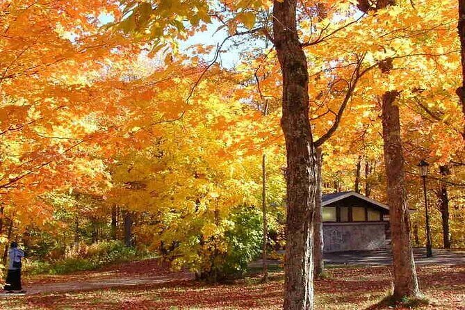 Algonquin Shuttle from Toronto - FAQs About the Algonquin Shuttle from Toronto