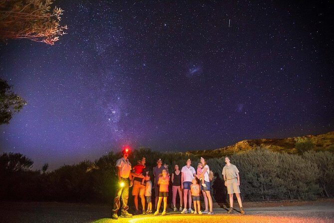 Alice Springs Desert Park Nocturnal Tour - An In-Depth Look at the Tour Experience