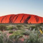 Alice Springs to Ayers Rock (Uluru) One Way Shuttle - The Vehicle and Comfort