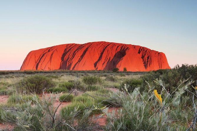 Alice Springs to Ayers Rock (Uluru) One Way Shuttle - The Vehicle and Comfort
