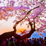 Alishan National Forest Recreation Area Ticket - Sunrises and Scenic Views