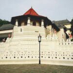 All in one Sri lanka 7nights 8 days for couple price - Detailed Breakdown of the Itinerary
