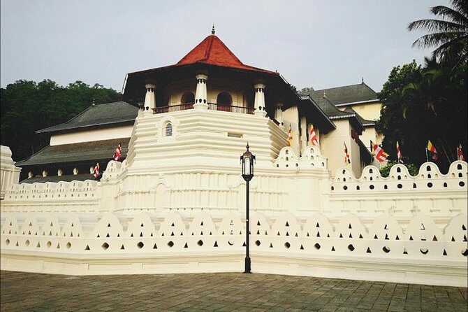 All in one Sri lanka 7nights 8 days for couple price - Detailed Breakdown of the Itinerary