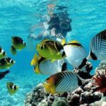 All Inclusive Bali Snorkeling Blue Lagoon tour experience - Weather Considerations