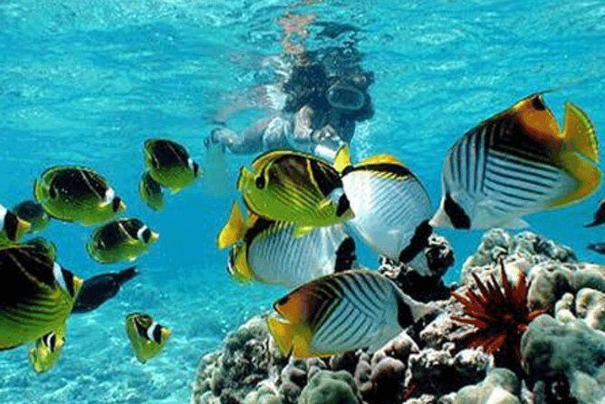 All Inclusive Bali Snorkeling Blue Lagoon tour experience - Weather Considerations