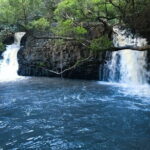 All Inclusive Full Day Tour in Saranda Forest from Kalkota - The Practical Side: What You Need to Know