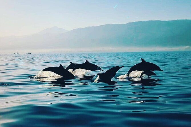 All inclusive Lovina Dolphins Sunrise tour, Waterfall & Temple - The Experience and Its Practicalities