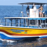 All Inclusive Mirissa Whale and Dolphin Watching Boat Ride - The Itinerary: What to Expect