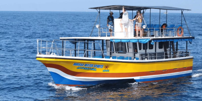 All Inclusive Mirissa Whale and Dolphin Watching Boat Ride - The Itinerary: What to Expect