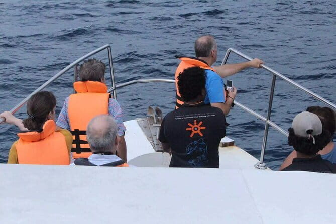 All Inclusive Mirissa Whale and Dolphin Watching Boat Ride - Expectations During the Trip