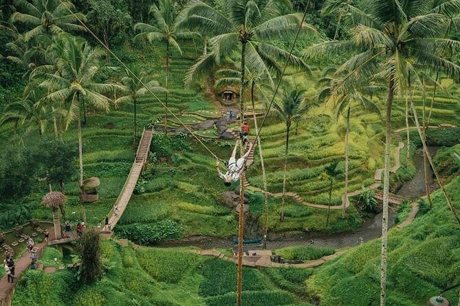 All inclusive Private 3 day tours package : Bali highlights - Deep Dive into the Itinerary: What to Expect Each Day