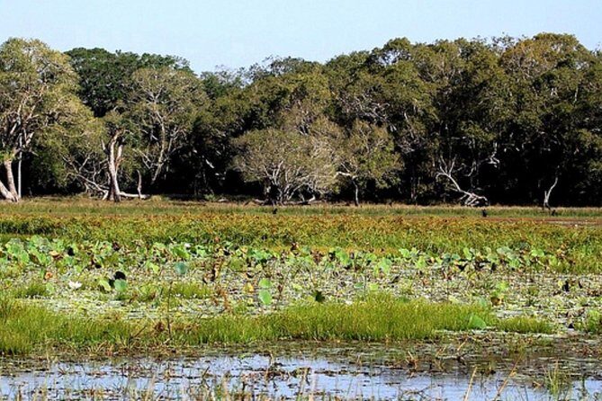 All Inclusive Private day tour to Wipattu National Park From Negombo - Value for Money