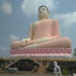 All inclusive Private Day trip to Southern Srilanka Galle, Bentota - Who Should Consider This Tour?