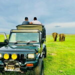 All Inclusive Private Jeep Safari To Minneriya National Park - What’s Included and What You Can Expect