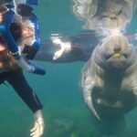 All Inclusive Private Manatee Swim - The Itinerary: What To Expect
