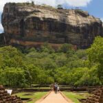 All-inclusive Sigiriya, Dambulla and Wildlife Safari from Colombo - Detailed Review: What to Expect from This Full-Day Tour