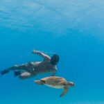 All-inclusive Snorkel in Balandras Hidden beaches, La Paz - A Gentle Introduction to Baja’s Marine and Coastal Treasures