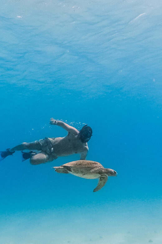 All-inclusive Snorkel in Balandras Hidden beaches, La Paz - A Gentle Introduction to Baja’s Marine and Coastal Treasures