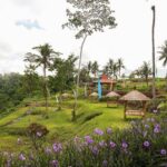 All-Inclusive Ubud Bali Private Full-Day Tour - Authentic Experiences and Authenticity