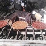 All inclusive Wuyuan Huangling&Likeng village 1 day private tour-No shopping - The Itinerary in Detail