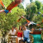 All-inclusive Xcaret Park with Transportation from Cancun & Playa Del Carmen - The Detailed Itinerary: What to Expect