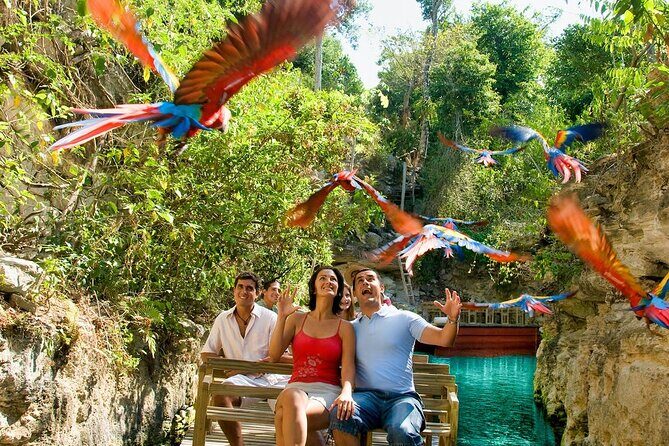 All-inclusive Xcaret Park with Transportation from Cancun & Playa Del Carmen - The Detailed Itinerary: What to Expect