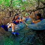 All Inclusive - Xel-Ha Park Tour from Cancún & Playa del Carmen - Detailed Breakdown of the Itinerary