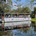 Alligator Swamp Tour by Gray Line New Orleans - What to Expect: Breaking Down the Itinerary
